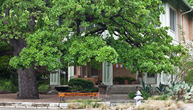 About AZC - Austin Zen Center
