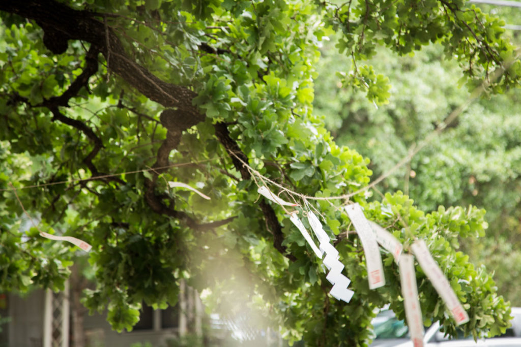 How to Make Shide – Austin Zen Center