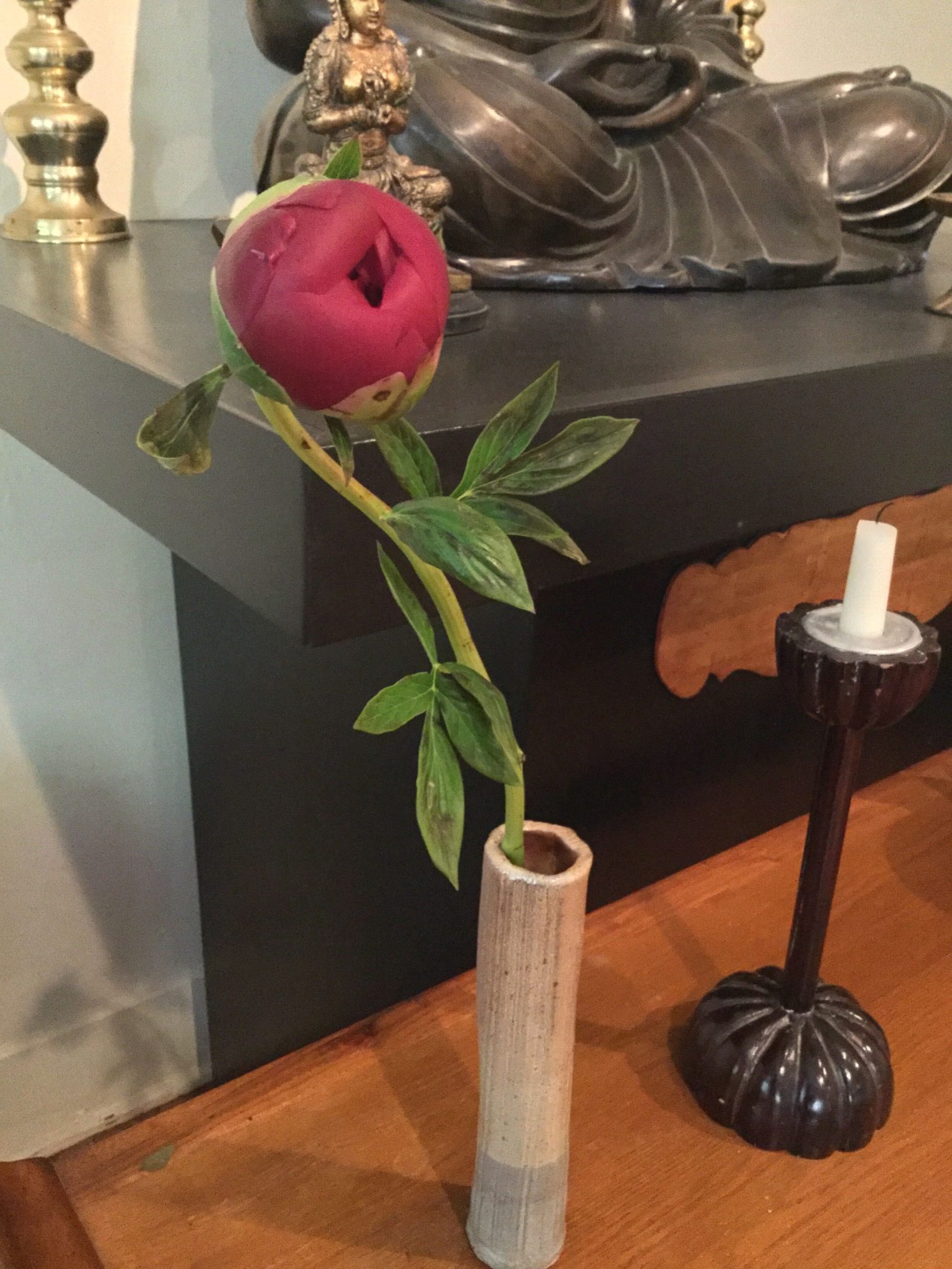 Flowers of Compassion - Austin Zen Center