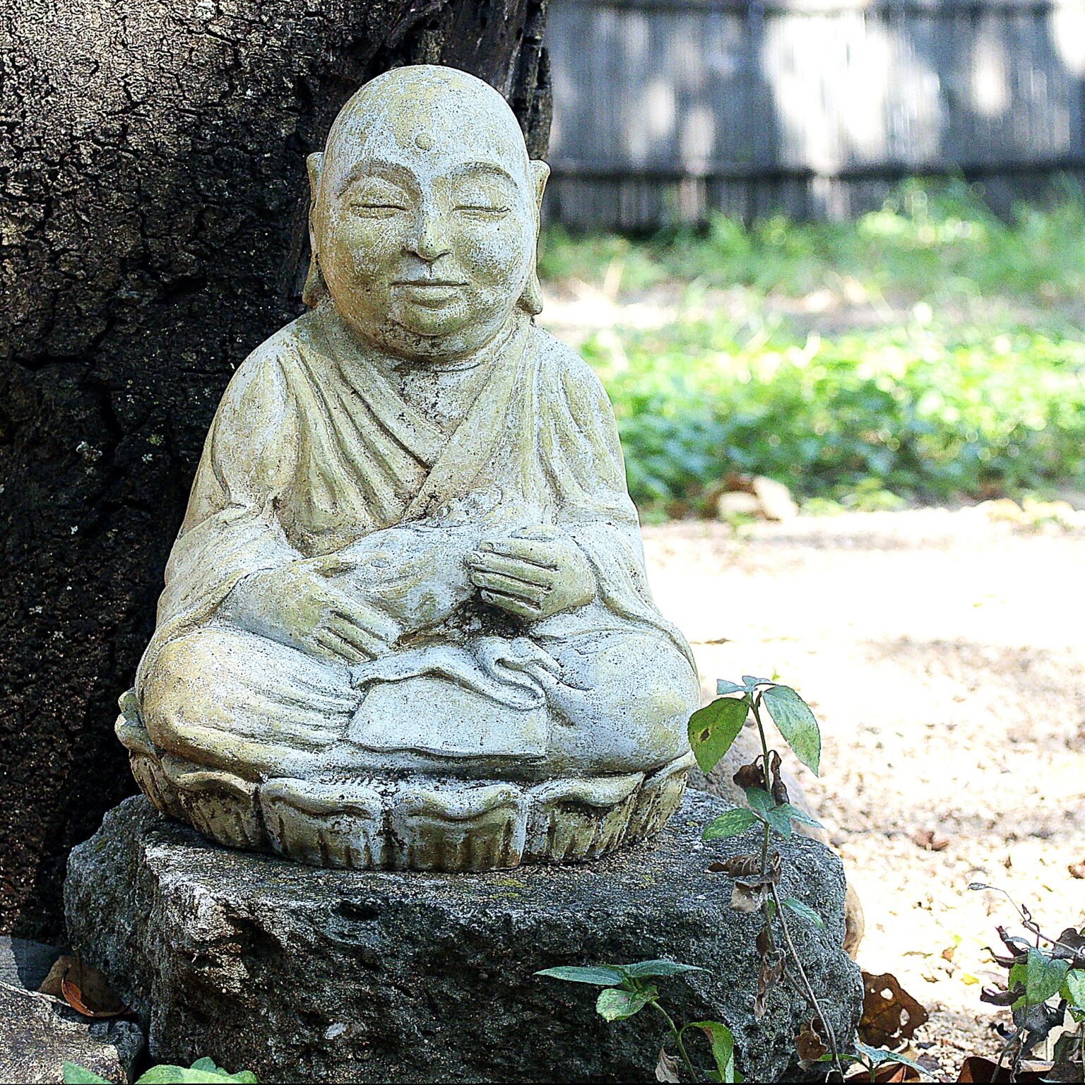 Austin Zen Center – A Soto Zen Community